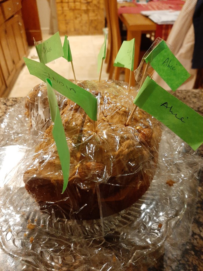 The Battle of Cakegate | My Housemate's a Mermaid